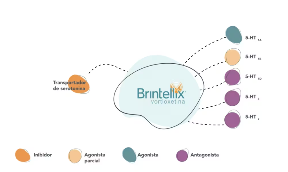 Brintellix® | Progress In Mind
